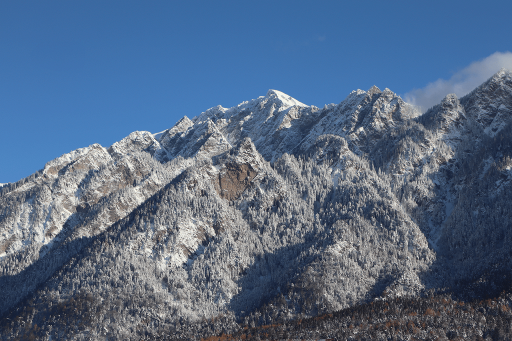 Do's & Don'ts: Understanding The Science Behind Cold Plunges