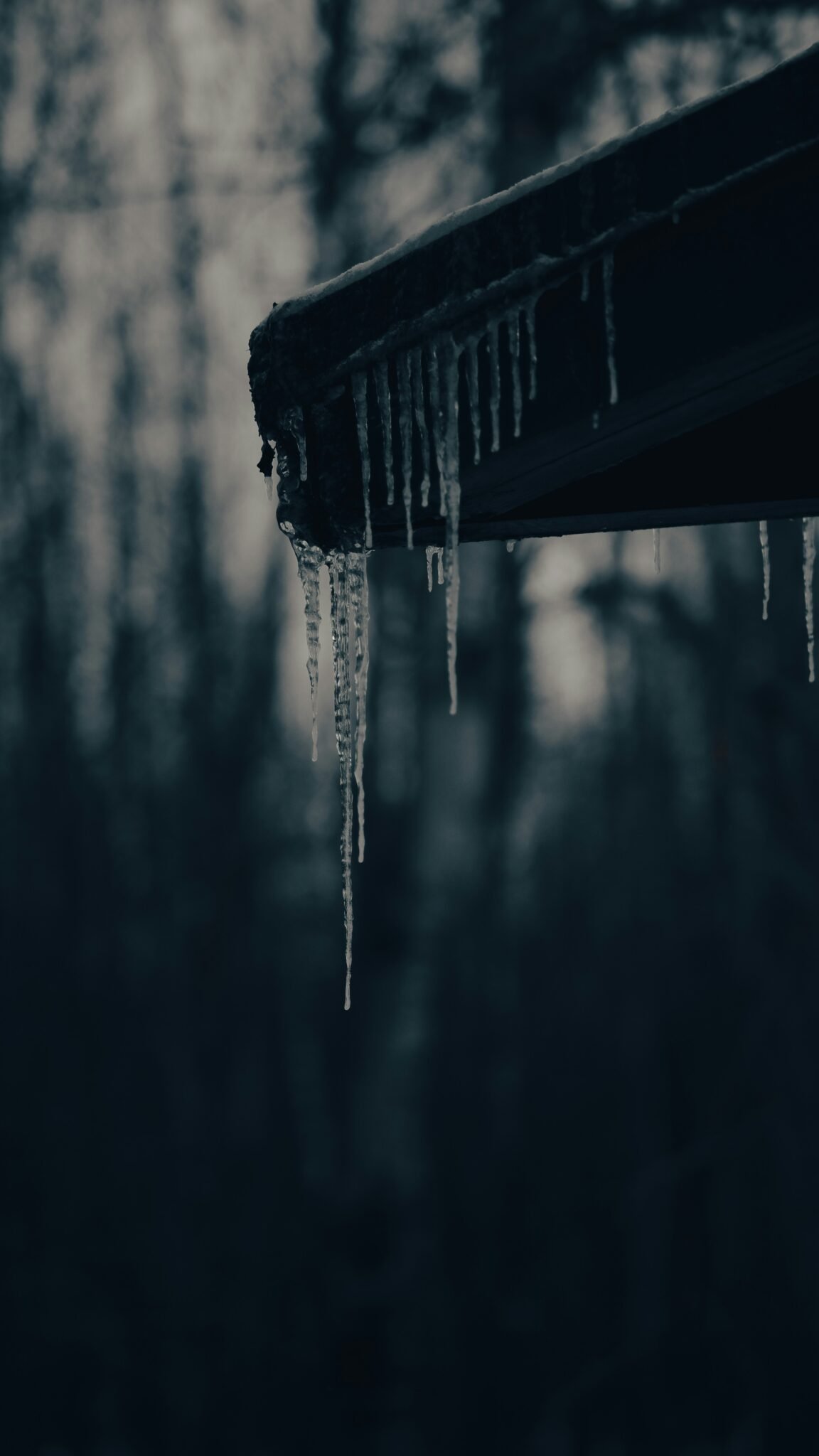 Why You Shouldn’t Talk During A Group Cold Plunge